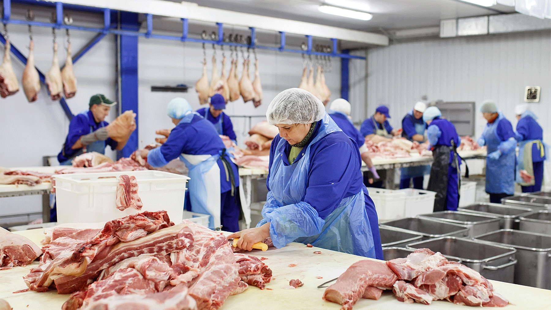 New Human Rights Watch report highlights dangers in industry SPLC seeks ... New Human Rights Watch report highlights dangers in industry SPLC seeks ...