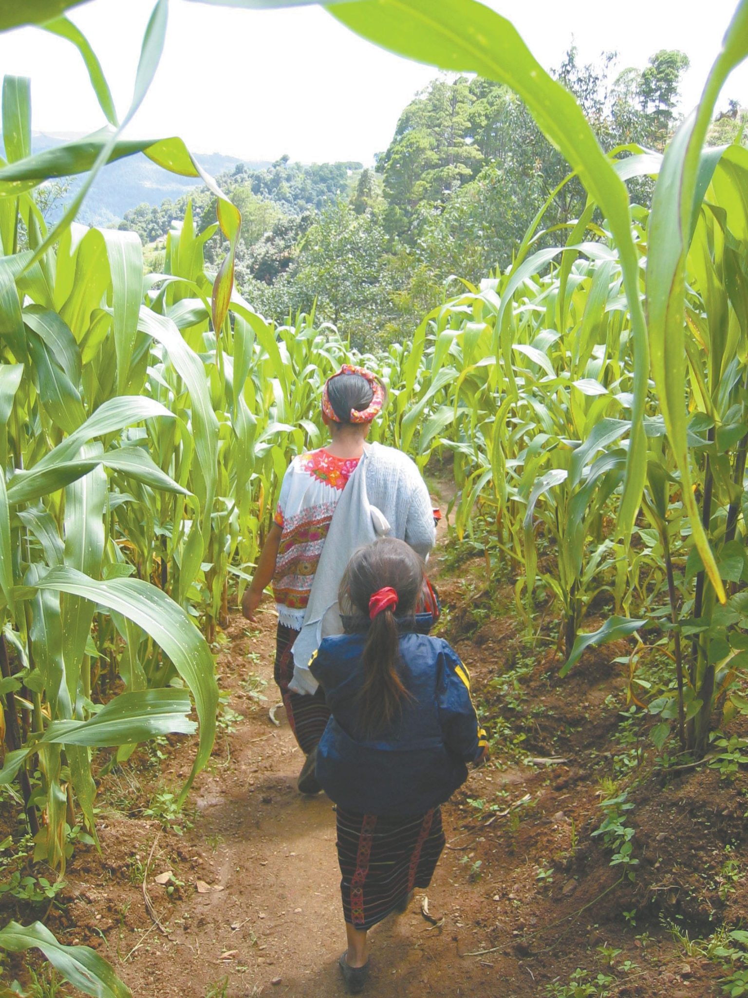 Close to Slavery: Guestworker Programs in the United States