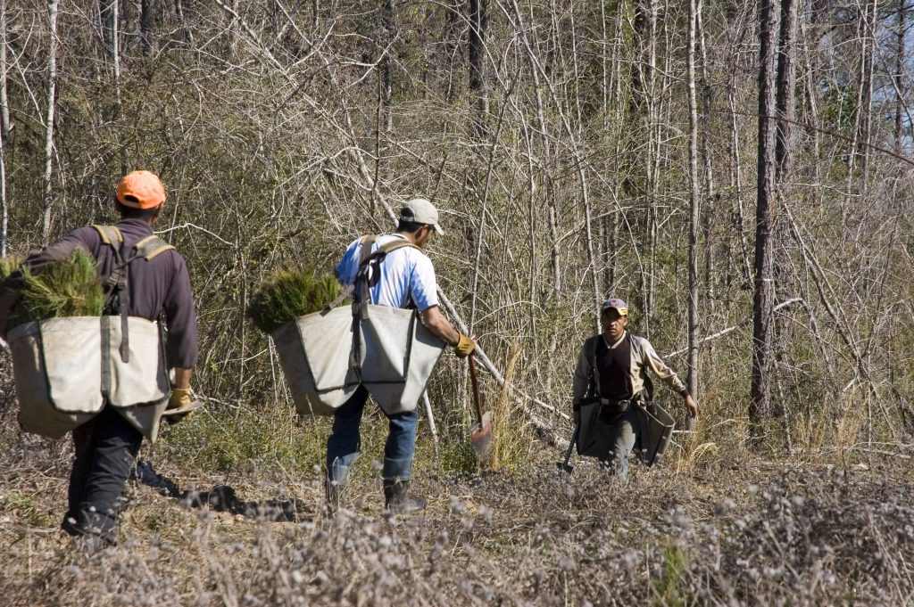 Close to Slavery: Guestworker Programs in the United States