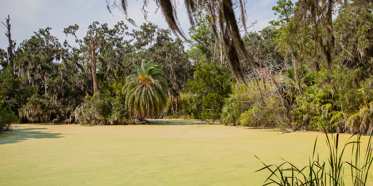 Coastal elites push changes that threaten Gullah-Geechee communities ...